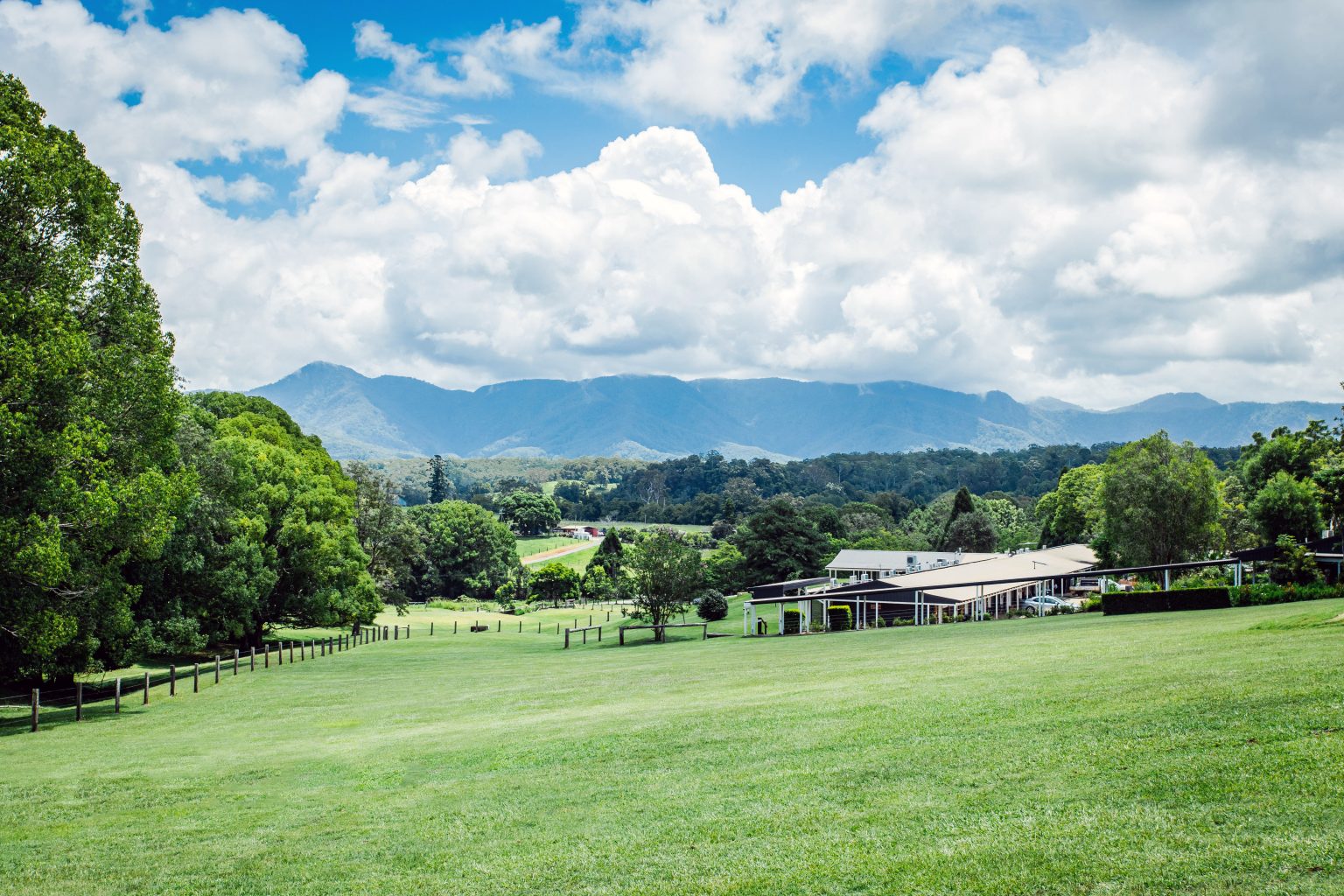 Restaurant - The Lodge Bellingen