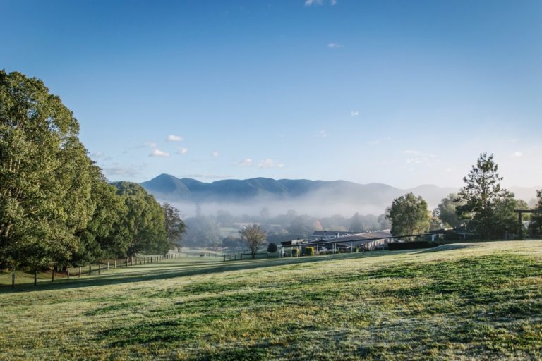 Explore - The Lodge Bellingen